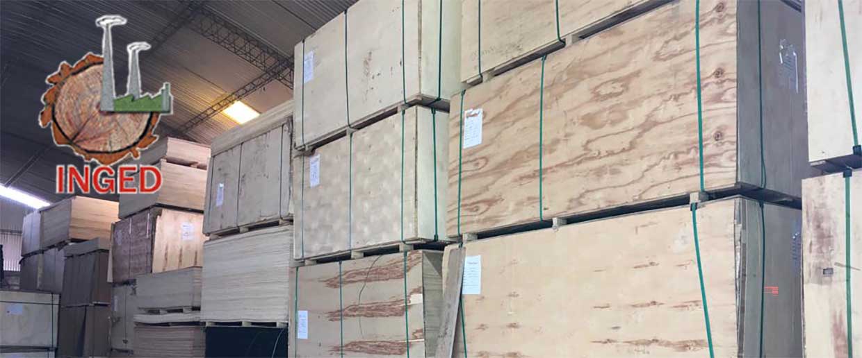 INGED BOLIVIA | Carton, multilaminados, aglomerado, aglomerado ...